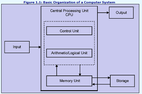 Basic Organization of a Computer System, Assignment Help, Computer System - An Overview